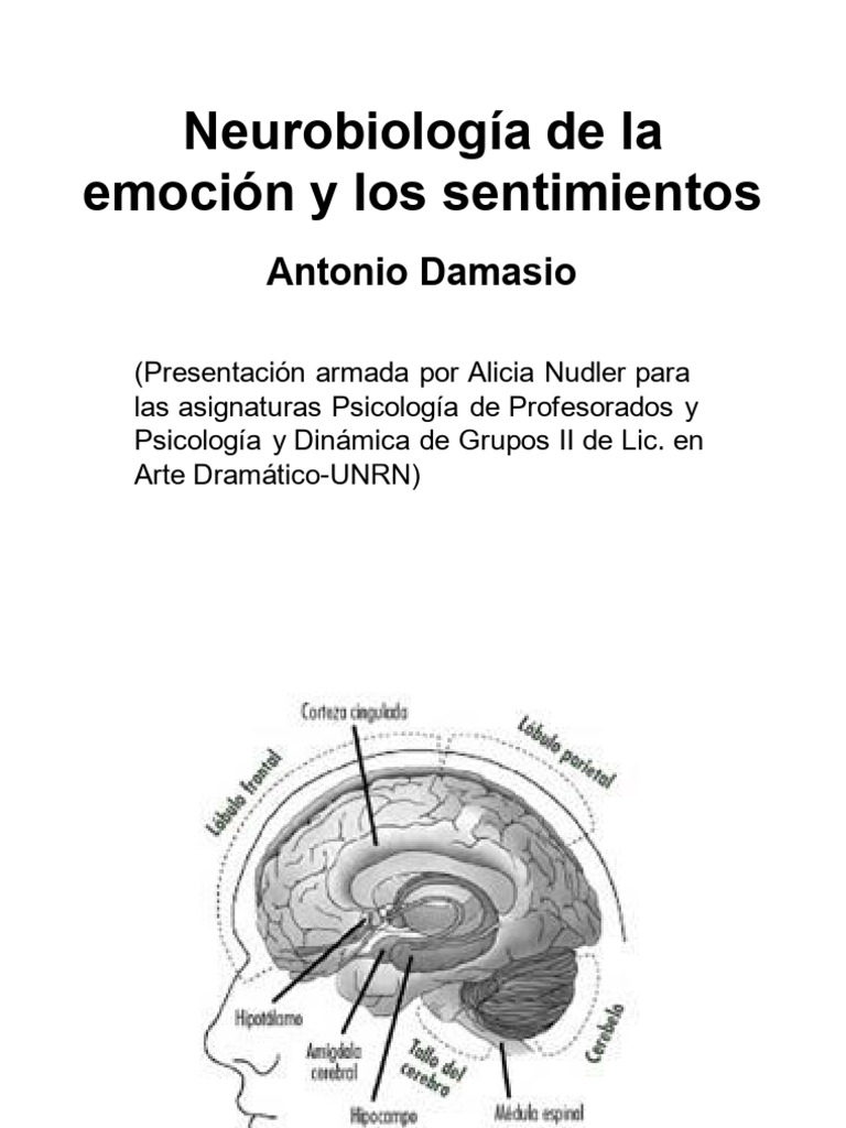 Damasio - Neurobiología de Las Emociones y Los Sentimientos-Damasio | PDF