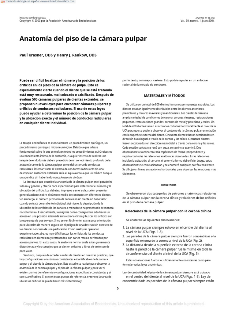 C3 Anatomy of The Pulp Chamber Floor - En.es | PDF