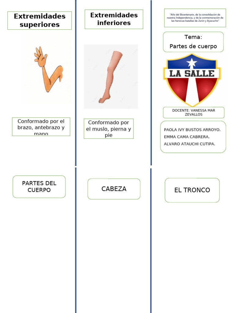 Triptico Del Cuerpo Humano | PDF