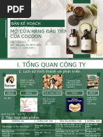 Các đối thủ cạnh tranh của Cocoon | PDF