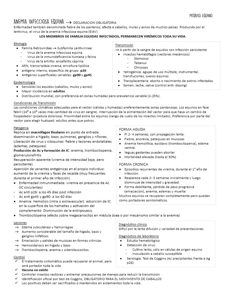 modulo-equino-pdf