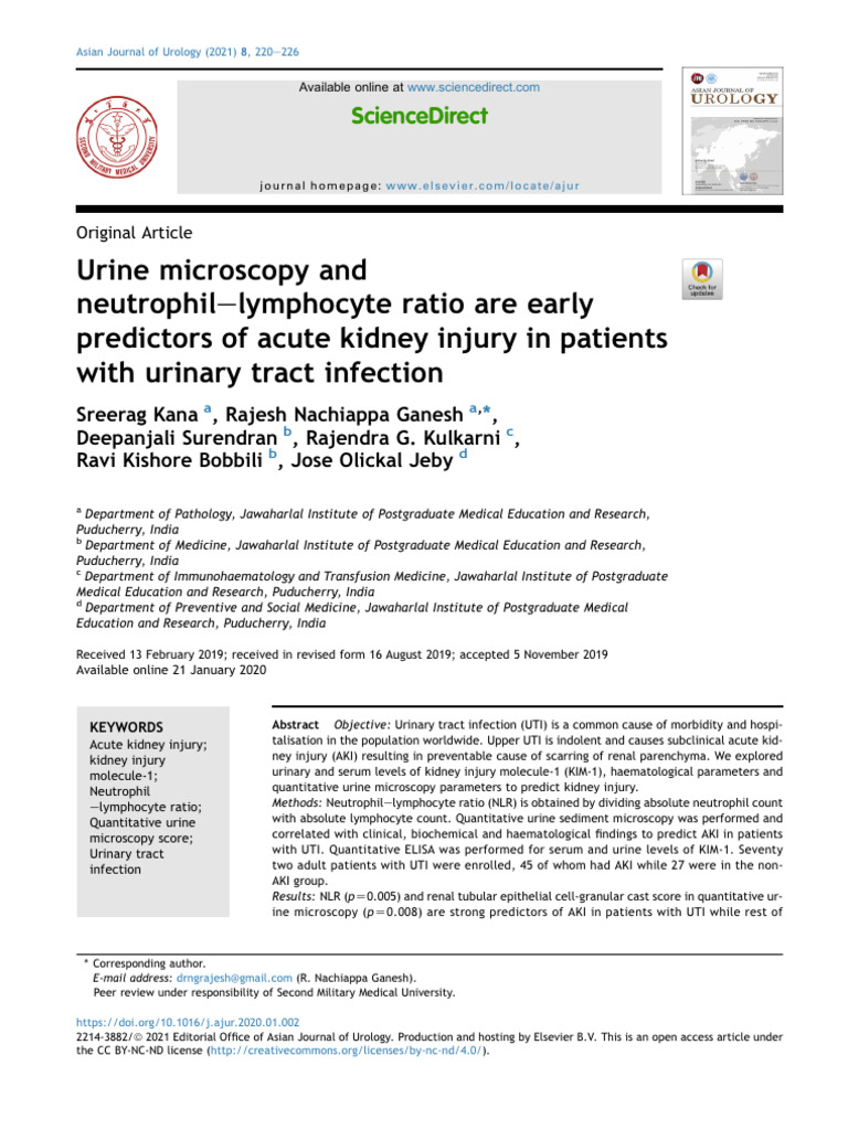 Urine Microscopy and | PDF