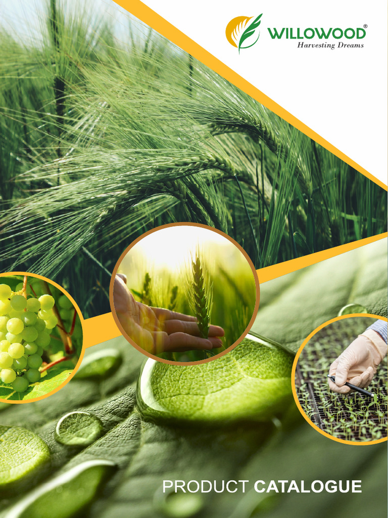 Product Brochure | PDF