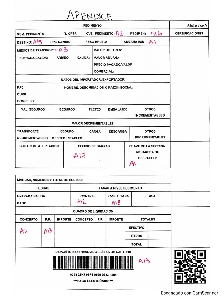 Pedimento - Con Anexo y Apendice | PDF