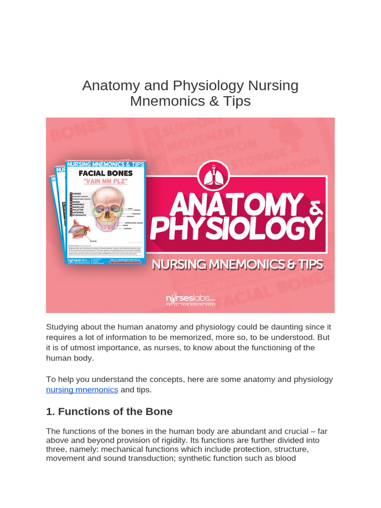 Nursing Mnemonics and Tips 2 | PDF | Heart | Science & Mathematics