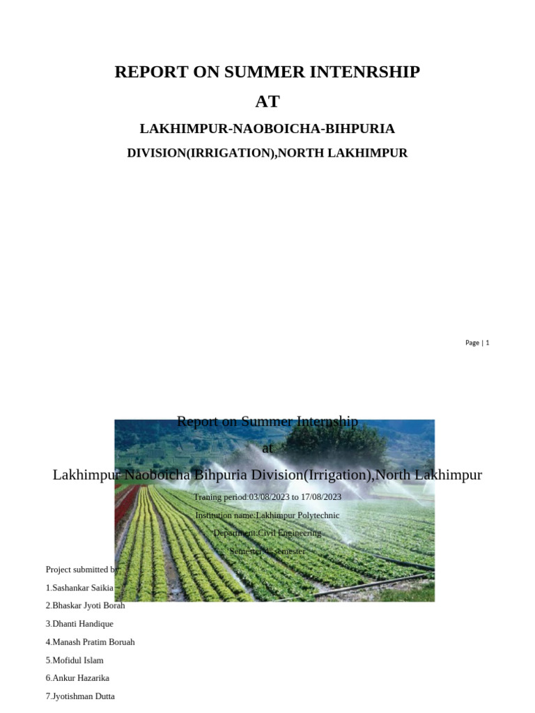 Irrigation Summer Intership Report | PDF