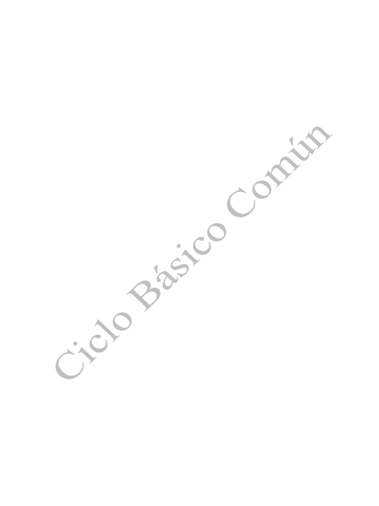 Practica Analisis Esnn | PDF