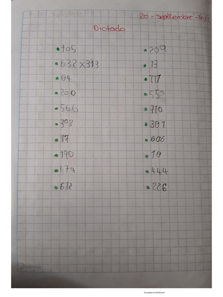 El Número 800 y Sus Familias | PDF