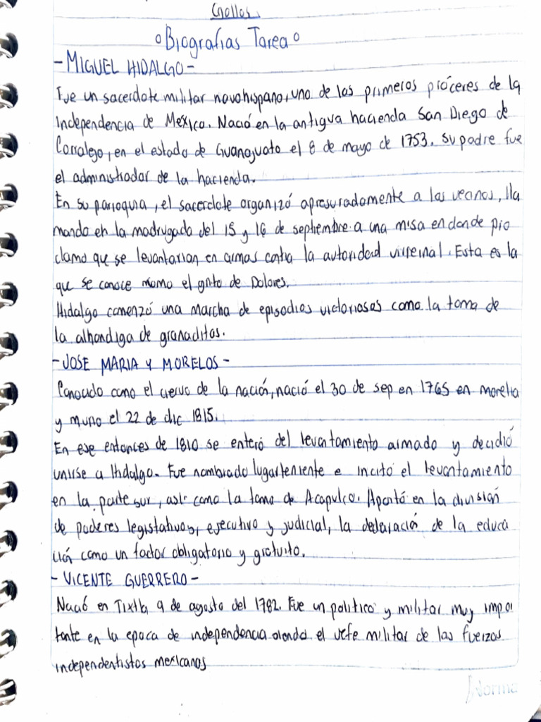 Biografías de Héroes de la Independencia | PDF | Politics | Young Adult