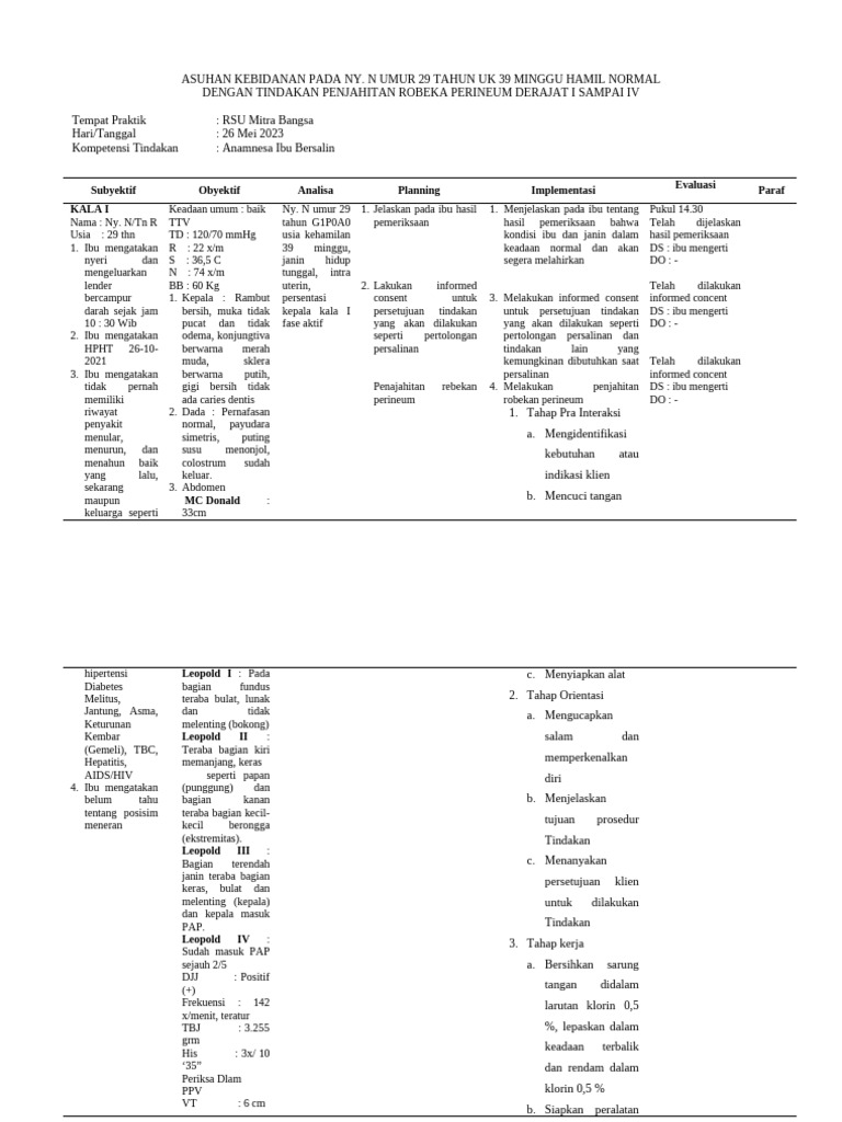 SOAP Robekan Perineum | PDF