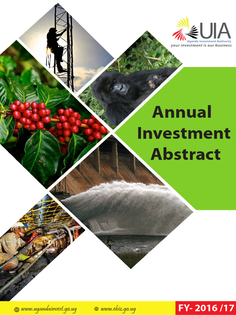 Uia Annual Investment Abstract - Fy 2016 - 2017 | PDF