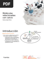 Función y Regulación del Calcio en Células | PDF | Neurona | Biología ...