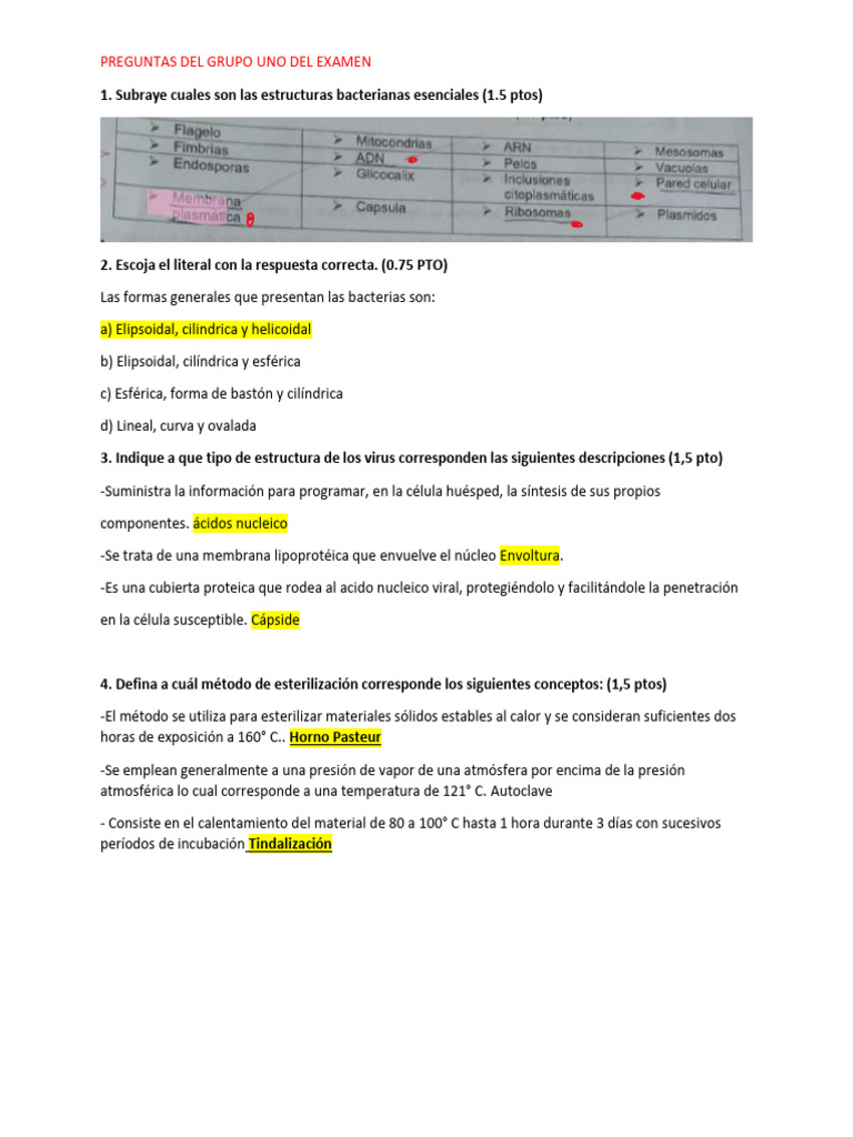 Preguntas de Micro | PDF