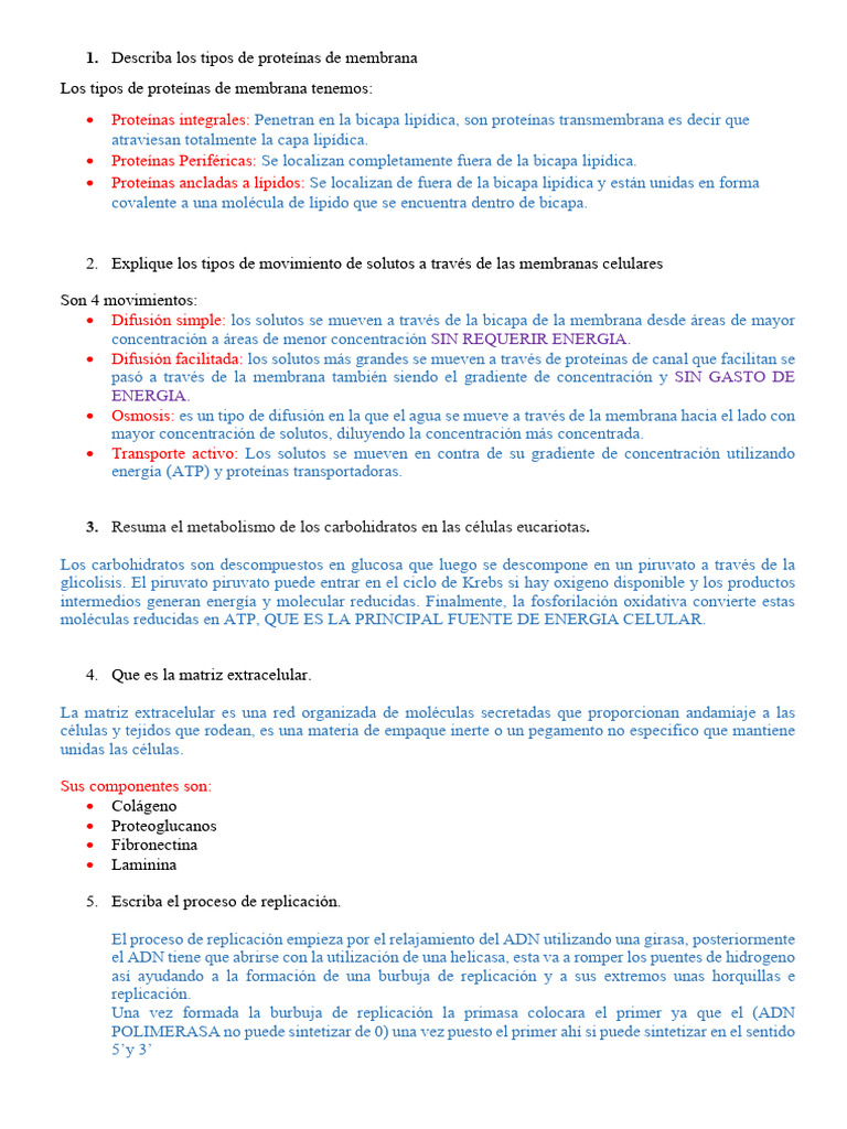 PRUEBA Segundo parcialb | PDF
