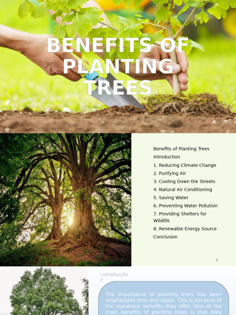 Benefits of Planting Trees | PDF