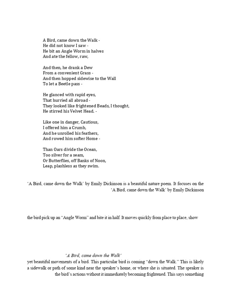 Dickinson and Whitman | PDF