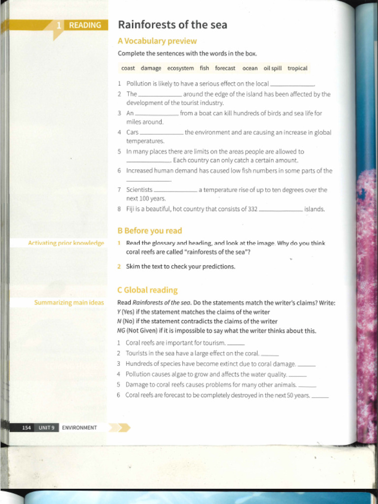 Rainforests of The Sea | PDF