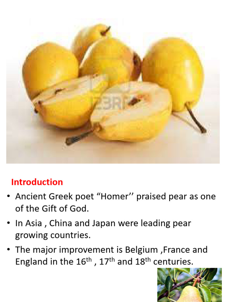 Pear | PDF