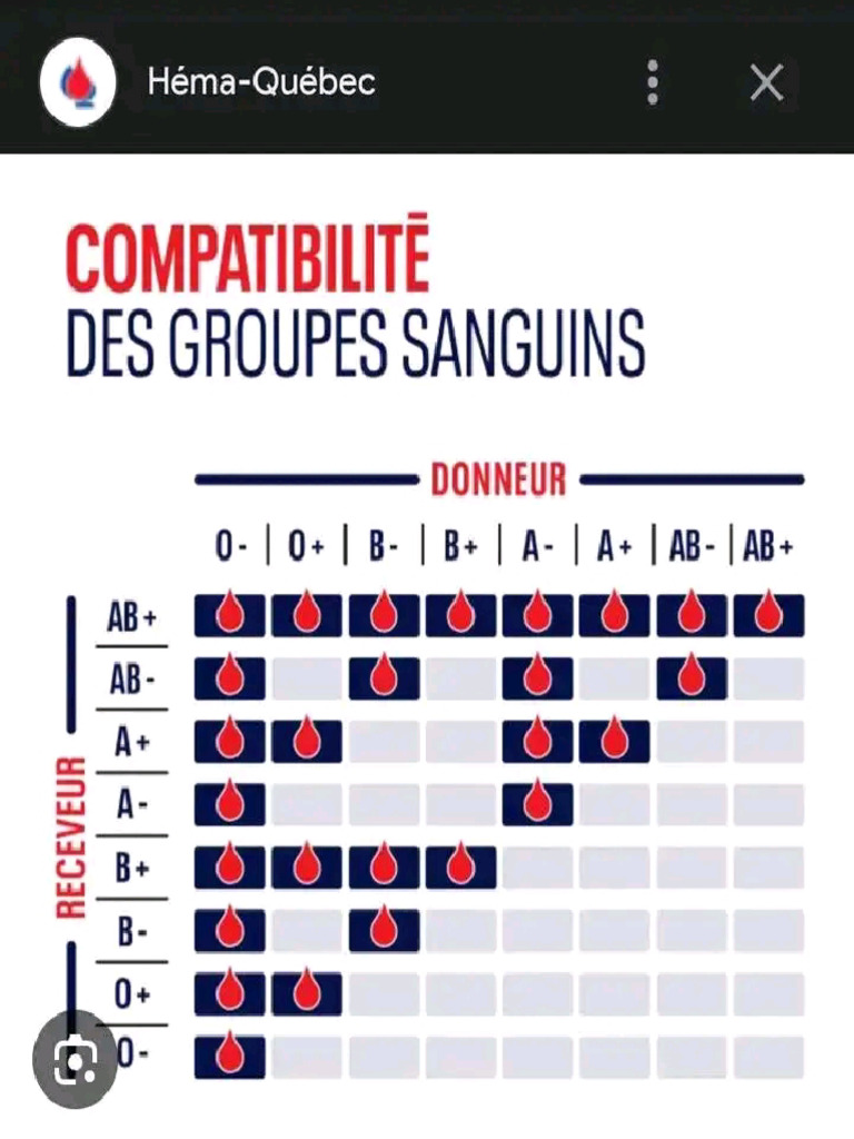 Comptabilité Des Groupes Sanguin | PDF