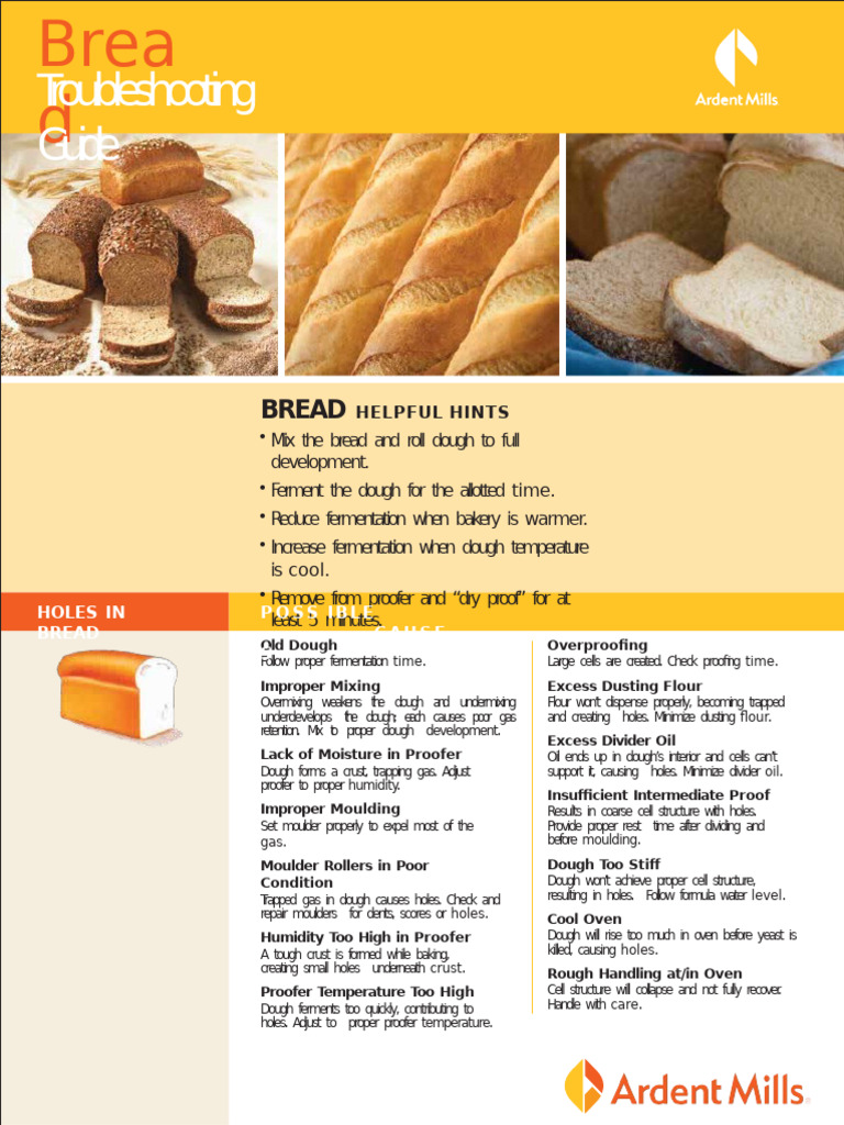 Troubleshooting Guide Bread en FNL | PDF