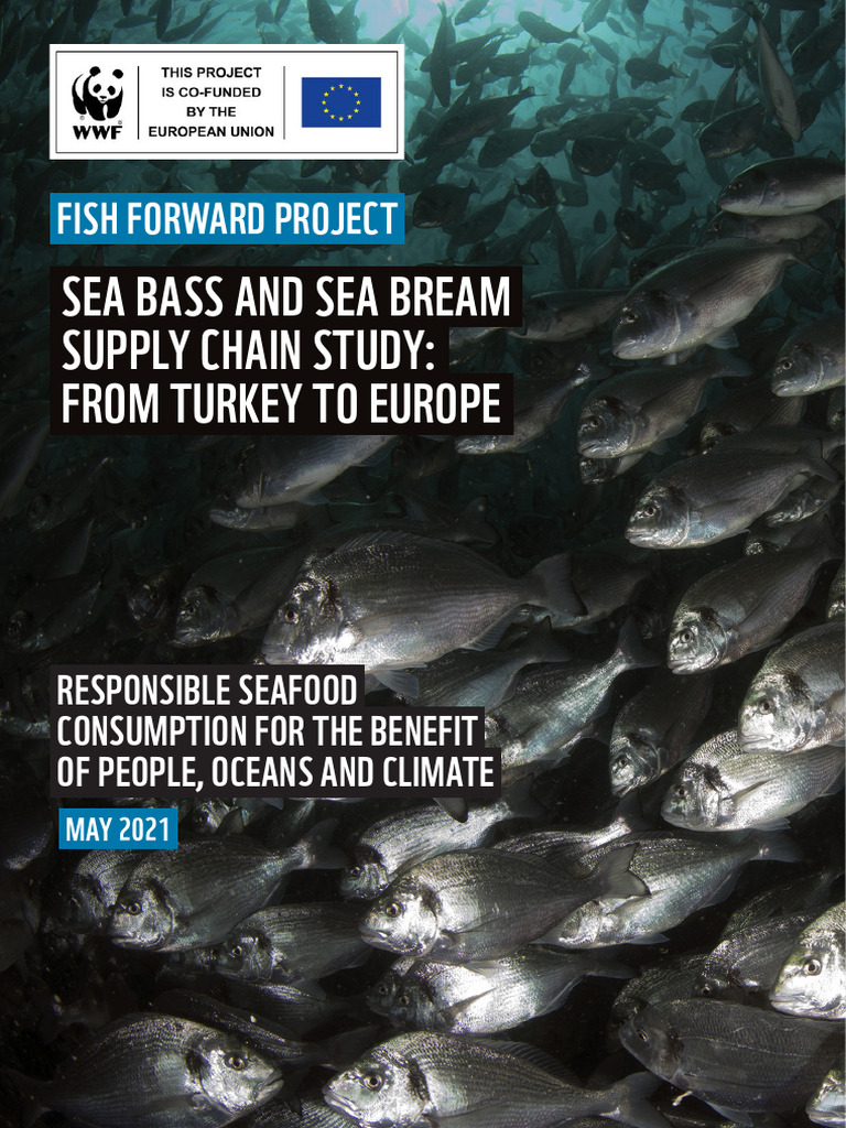 Sea Bass and Sea Bream Supply Chain Study From Tur 240815 100236 | PDF ...