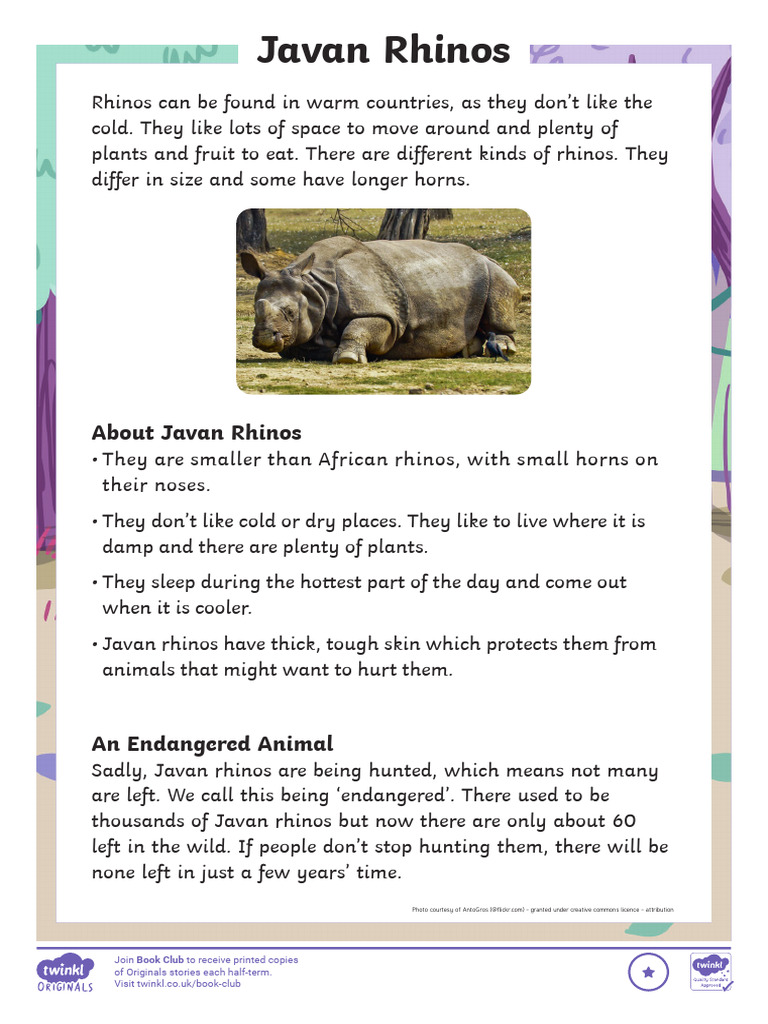 T L 52256 Year 2 Javan Rhinos Differentiated Reading Comprehension ...