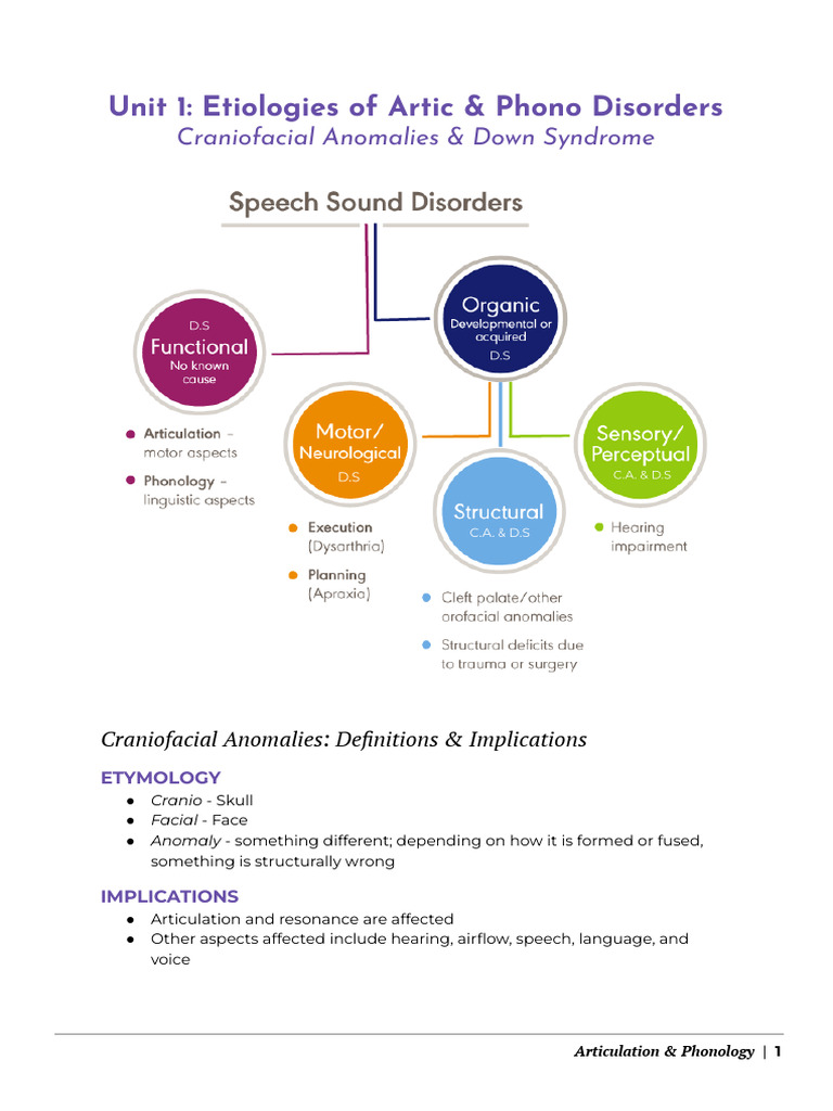 Articulation & Phonology Notes | PDF | Phoneme | Human Voice