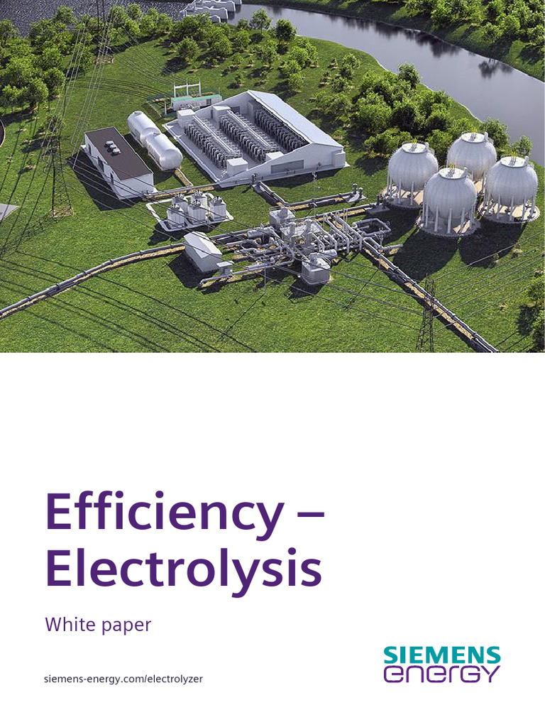Efficiency White Paper | PDF