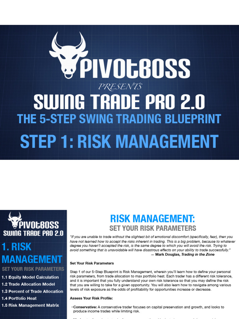 Swing Trade Manual Professional Guide | PDF | Risk | Business