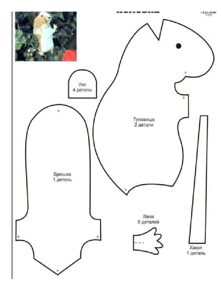 Sewing - Hamster | PDF