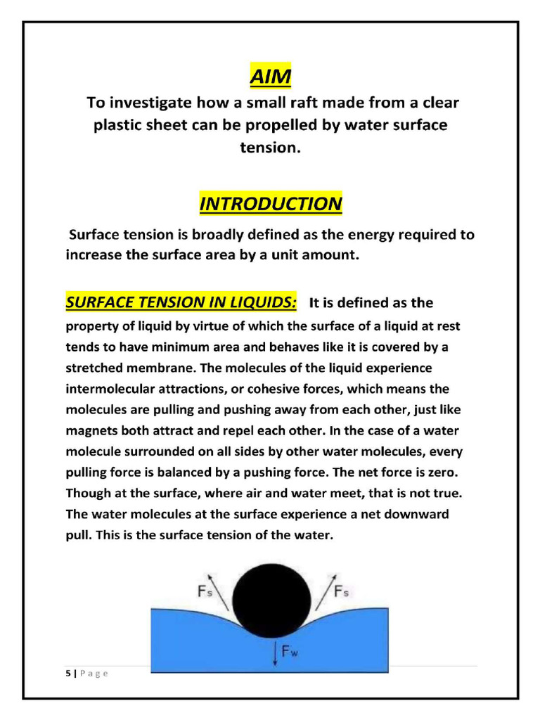 Raft Powered by Surface Tension | PDF