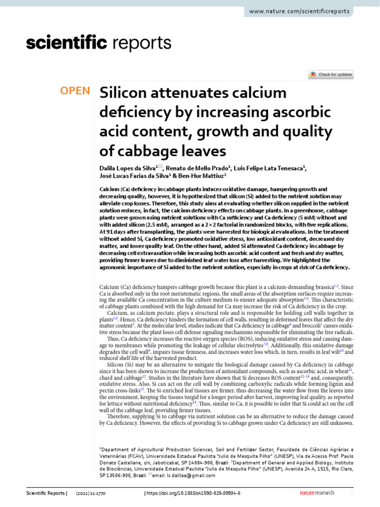 Silicon Attenuates Calcium Deficiency by Increasing Ascorbic Acid ...