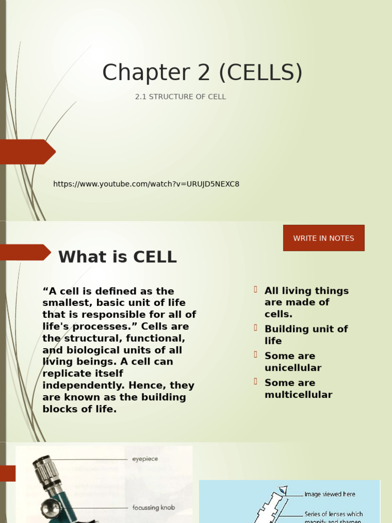 Chapter 2 .1 (CELLS) | PDF