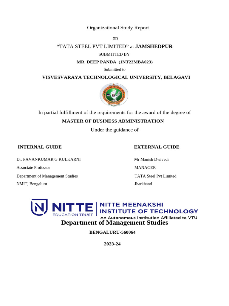 Tata Steel Report | PDF