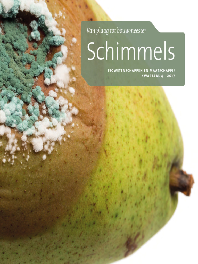 Schimmels | PDF