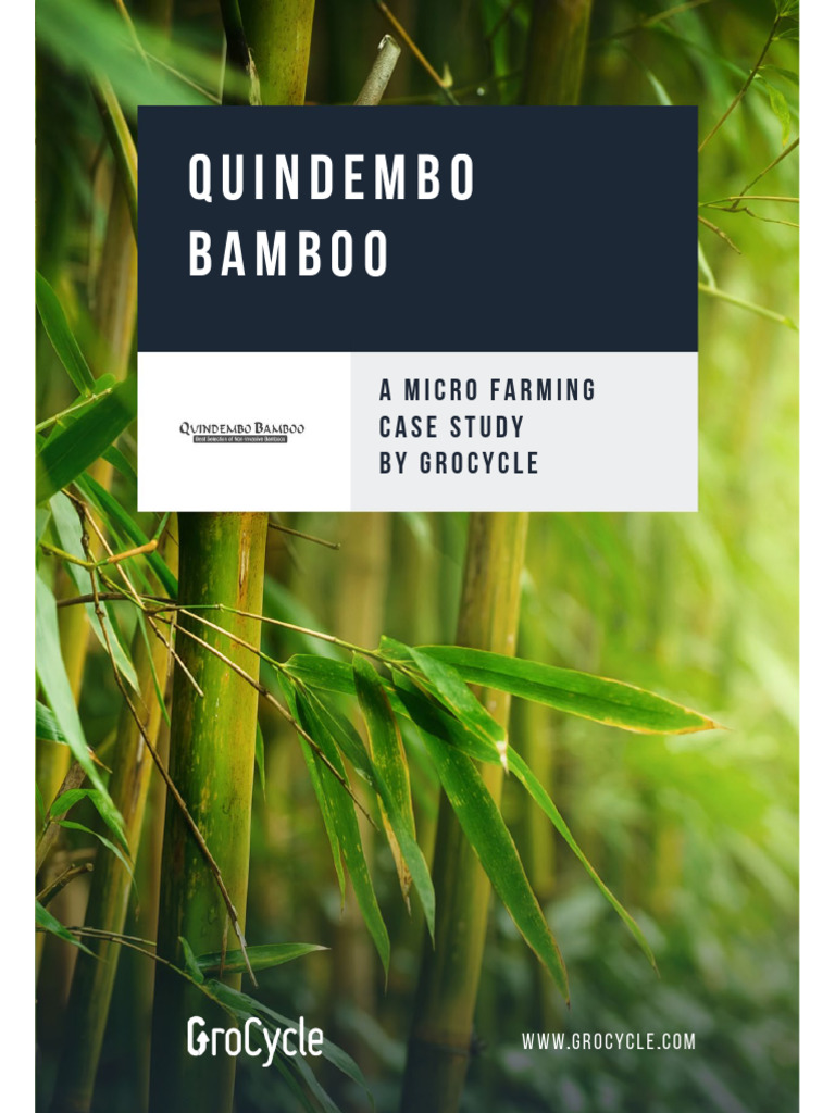 5 Case Studies - Bamboo Ebook | PDF