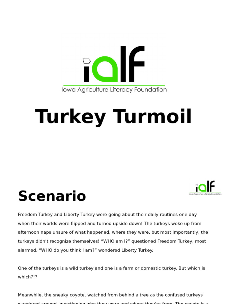 Turkey Turmoil | PDF