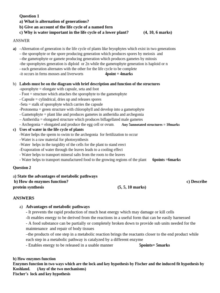 0710 Marking Guide 2024. | PDF