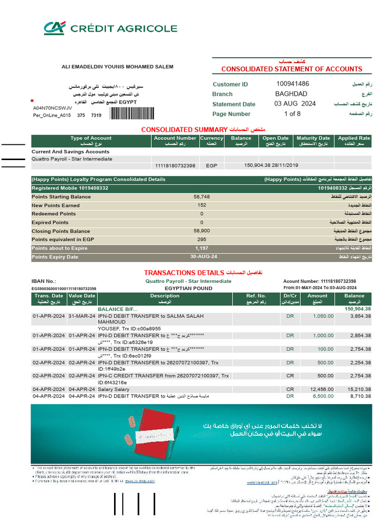 Ali Emadeldin Younis Mohamed Salem | PDF