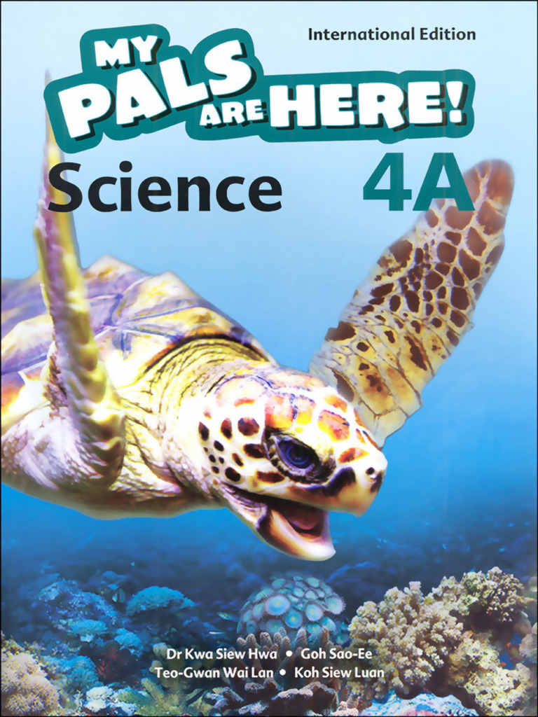 4A Student's Book | PDF