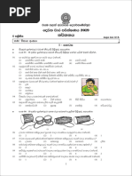 Grade 6 Sinhala Past Papers 2022 | PDF