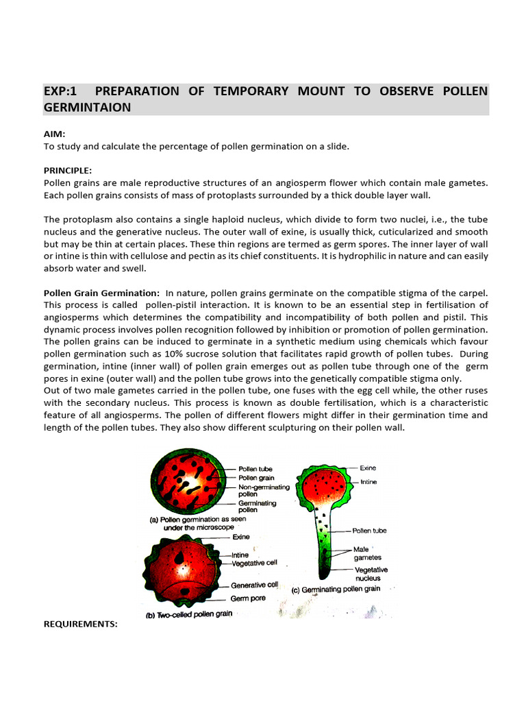 Expt 3. Pollen Grain Germination | PDF