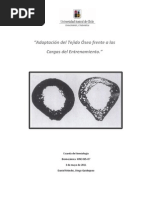 Teoría de La Matriz Funcional de Melvin Moss | PDF | Cráneo | Epigenética