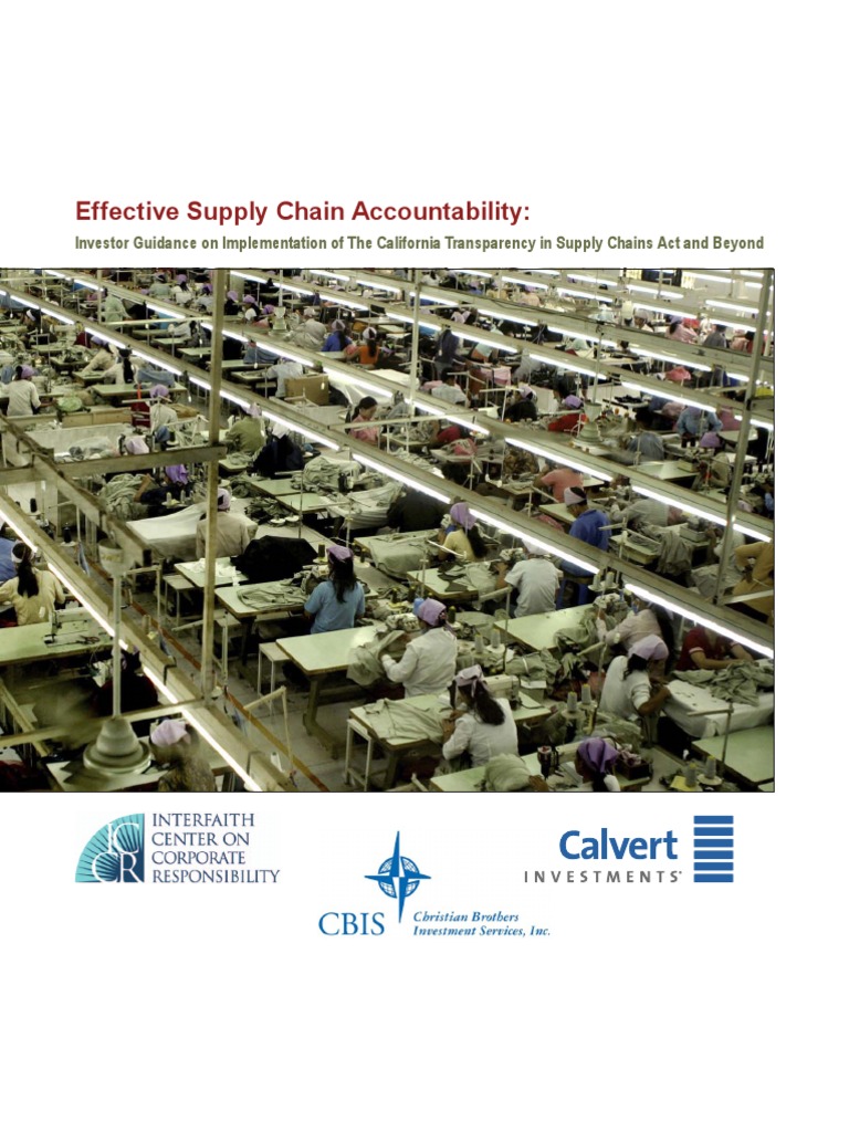 Effective Supply Chain Accountability | PDF | Sex Trafficking | Human Trafficking