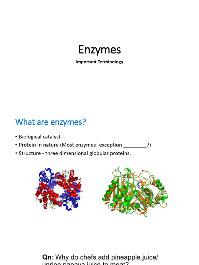 Enzymes - Complete Unit | PDF
