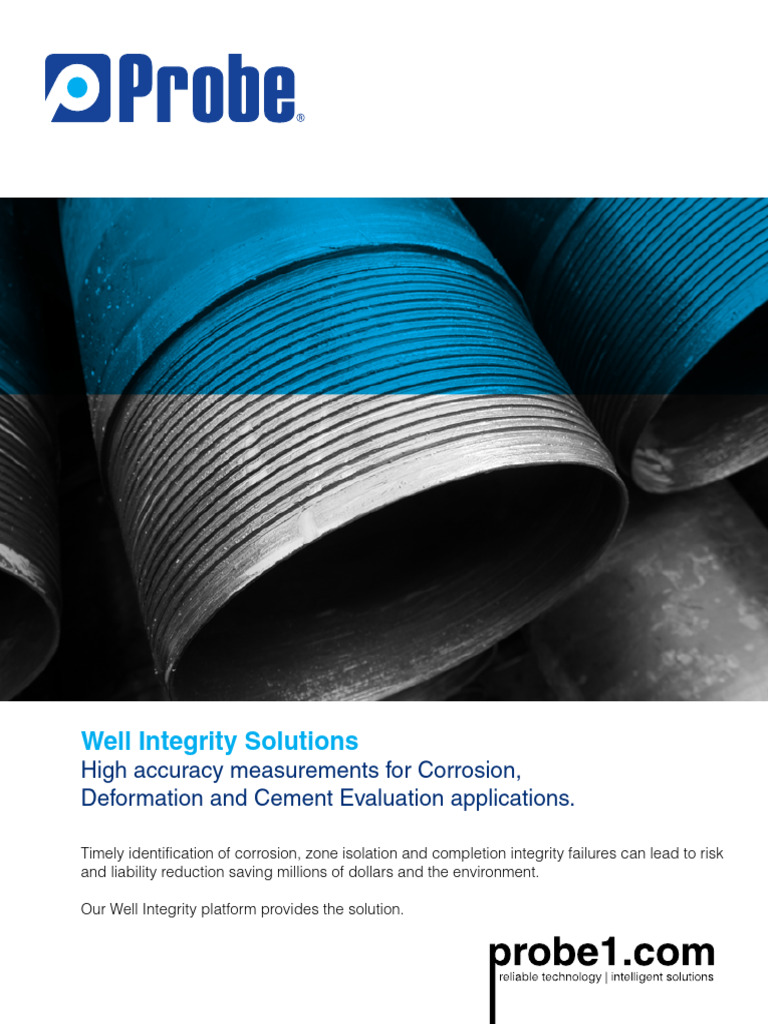 Well Integrity Brochure 2023 Web | PDF