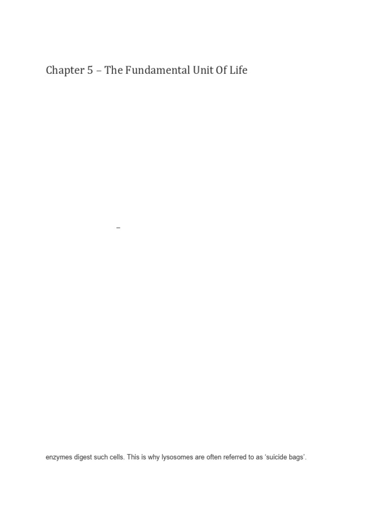Chapter 5 Notes | PDF