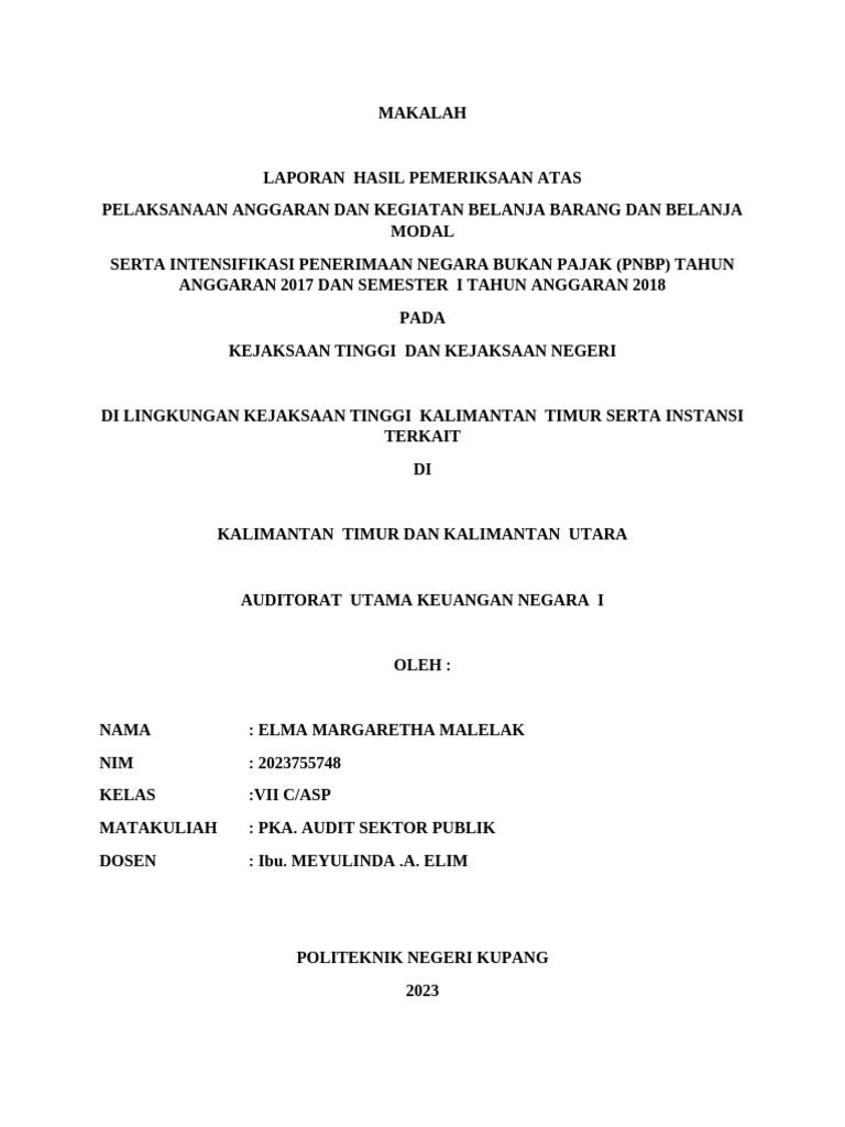 Elma Malelak_pka Audit Sektor Publik | PDF