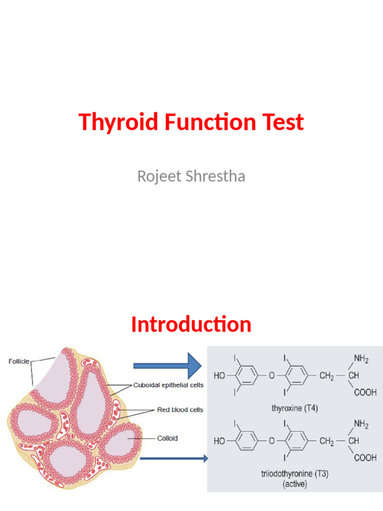 Thyroid Function Test | PDF