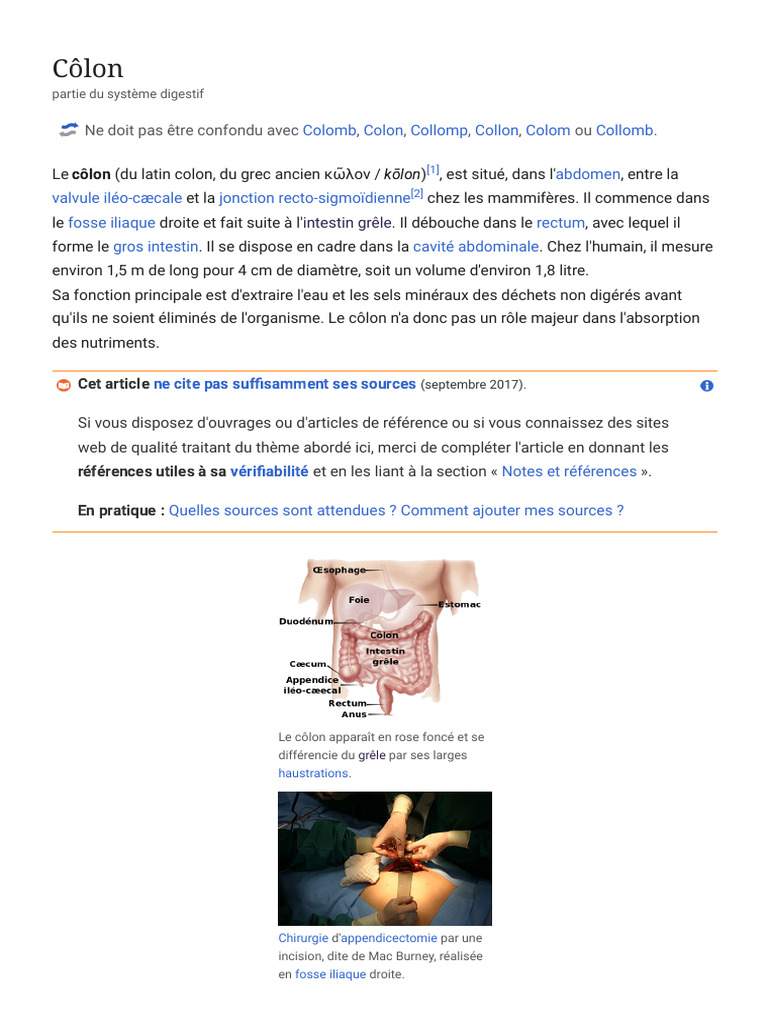 Côlon - Wikipédia | PDF